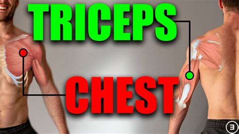 Single Vs Multi Joint Exercises For Hypertrophy Science Based Tricep Muscle Building Mens