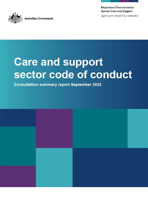 Care And Support Sector Code Of Conduct And Consultation Summary Report