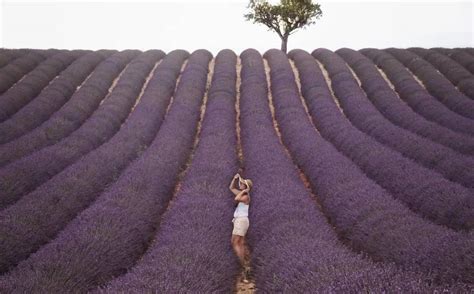 Colour Of The Year 2023 Digital Lavender