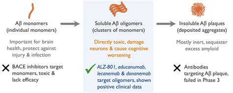 Moa Amyloid Oligomers Alzheon Preserving Future Memories