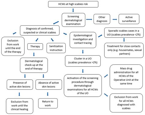 Prevention Protocol For The Management Of Scabies Hospital Outbreaks Download Scientific Diagram