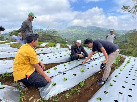 Lupa Password Gmail Begini Cara Memulihkannya