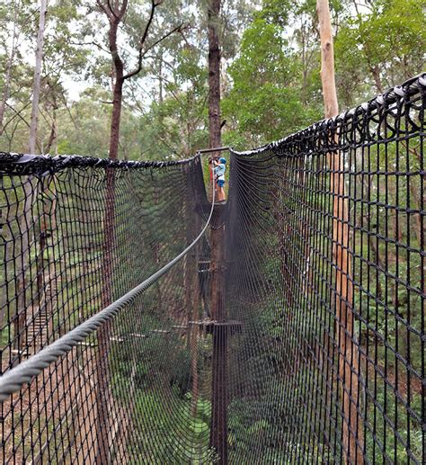 Mount Tamborine TreeTop Challenge A Family Adventure