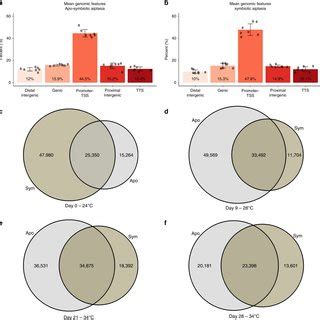 Correlation Between ATAC Seq Biological Replicates Download Scientific Diagram