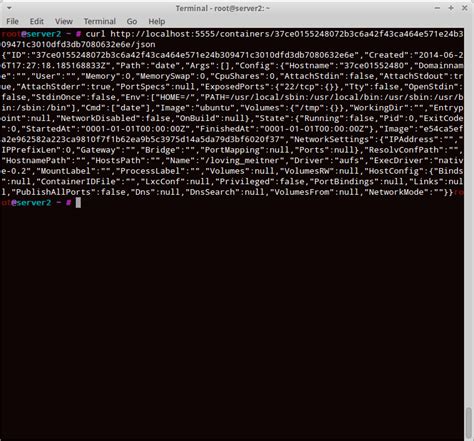 docker tutorial series part 8 docker remote api ntt data