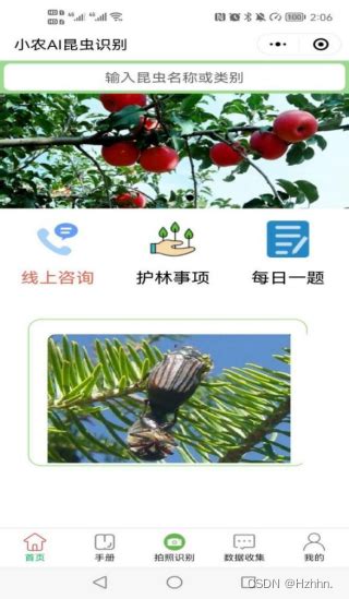毕业设计自主开发的害虫识别系统 文档附源码农作物病虫害识别app设计与实现毕业论文 Csdn博客
