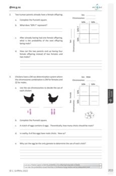 Sex Determination Notes Worksheet Answers Mr G Nz TPT