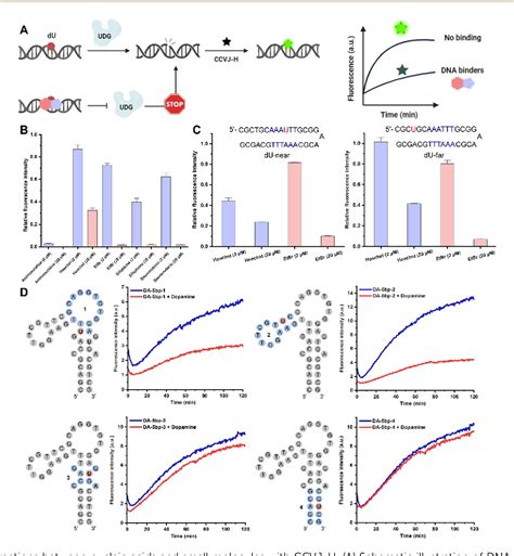Figure 1 From Multifaceted Nucleic Acid Probing With A Rationally Upgraded Molecular Rotor