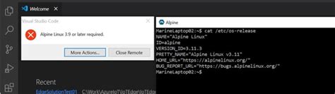 Alpine Linux 39 Or Later Required · Issue 3819 · Microsoftvscode