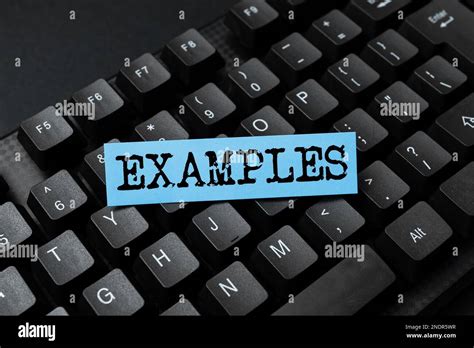 Text Caption Presenting Examples Word For Photo Sample Model To Follow