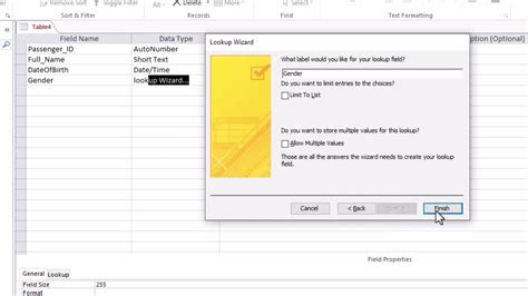 Age Calculation In Ms Access Query Youtube