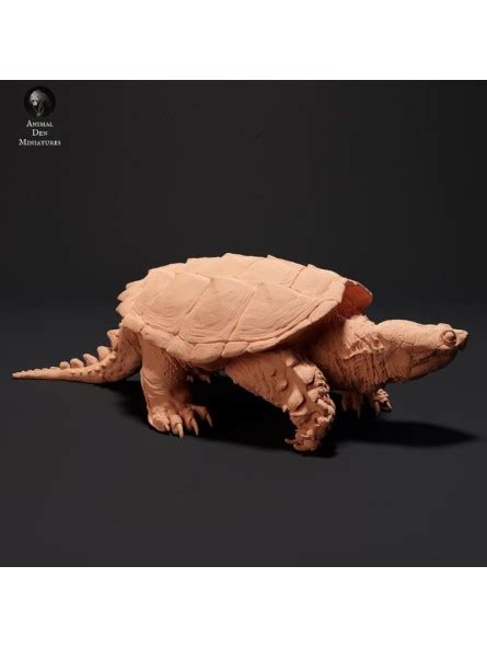 Common Snapping Turtle Walking