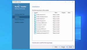 How To Install MySQL On Windows Database Star