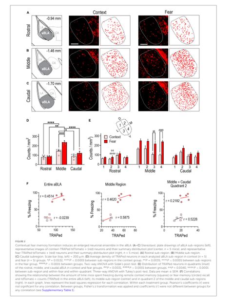 Anterior Basolateral Amygdala Neurons Comprise A Remote Fear Memory Engram Part 1 Improve