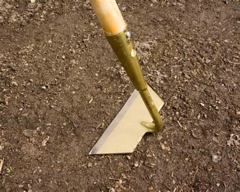 Whats The Best Weeding Tool For YOU The Tool Merchants