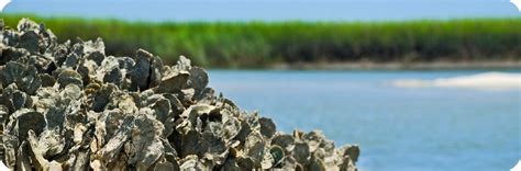 Public Comment On Proposed Shellfish Harvest Rule