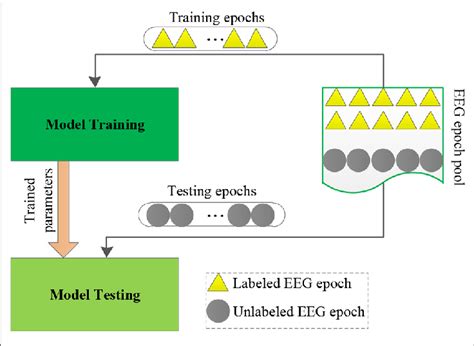 The Classic Diagnostic Procedure For Epilepsy Download Scientific Diagram