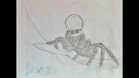 Jumping Spider Pencil Drawing With Drop On Its Head R Jumpingspiders