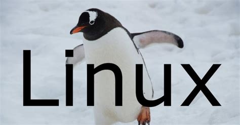 Soham Rayewar On Linkedin Mastering Essential Linux Commands