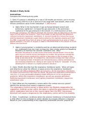Module 6 Study Guide Docx Module 6 Study Guide Instructions Complete The Following Study