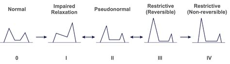 What Is Grade 1 Lv Diastolic Dysfunction Ermes