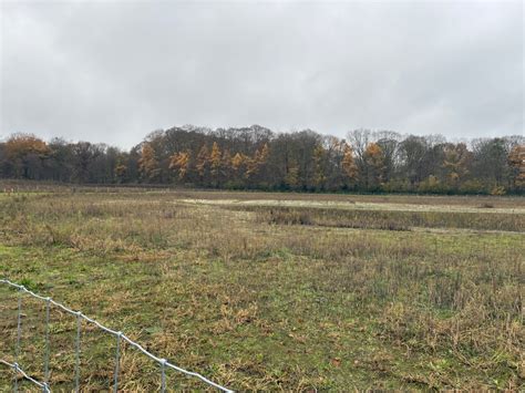 Extra Groen Voor Sint Andries Natuurproject Foreest Is Helemaal Klaar