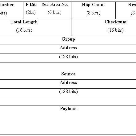 Multicast Packet Format Download Scientific Diagram