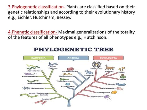 Aims And Fundamental Components Of Taxonomy Ppt