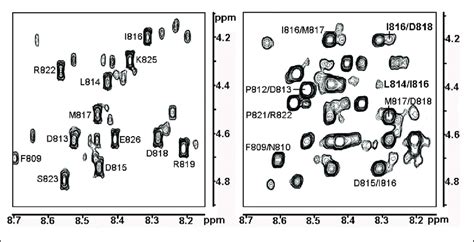 Amide Region Of The 1h Nmr Tocsy Left And Noesy Right Spectra Of