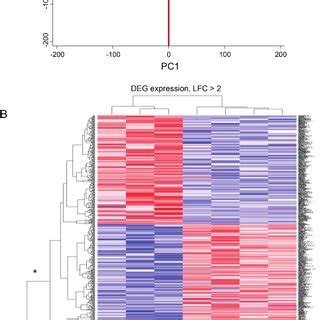 Exon Array Analysis Identified Up Regulated And Down Regulated Download Scientific