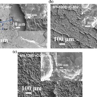 Surface Microstructure Evolution Revealed By The SEM Images Of The Download Scientific Diagram