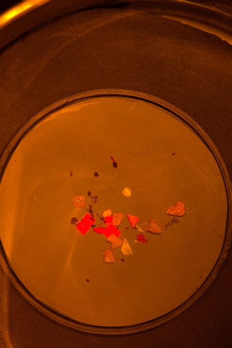 Macro Histogram Image Analysis Imagesc Forum