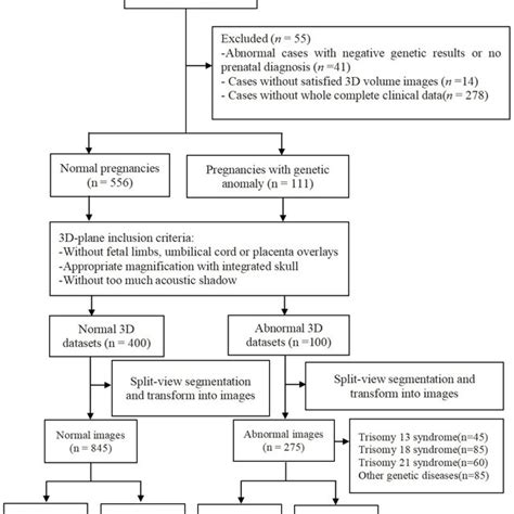 Overview Of The Acquisition And Pretraining Processing Of Datasets