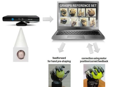 Scheme Of The Autonomous Grasping Strategy Download Scientific Diagram