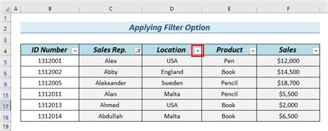 How To Filter Multiple Columns Simultaneously In Excel 4 Ways
