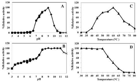 Effects Of Ph And Temperature On The Purified Recombinant Protein A