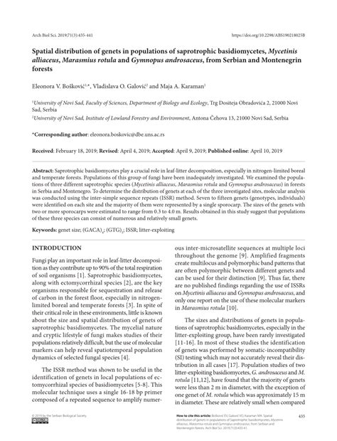 Pdf Spatial Distribution Of Genets In Populations Of Saprotrophic