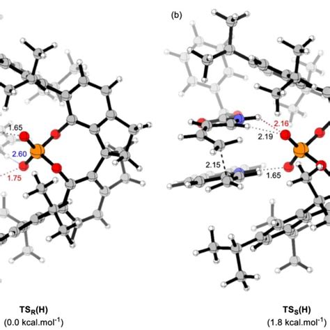 Optimized Transition State Structures For The Endo Addition Relative Download Scientific