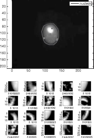 Figure 1 From Boosting Multiclass Learning With Repeating Codes And Weak Detectors For Protein