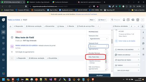 how custom tickets fields and inject javascript in window ticket app platform freshworks