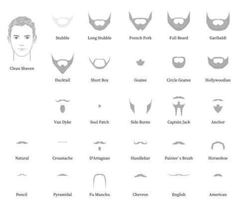 60개 이상의 콧수염 비비 꼬기 일러스트 스톡 사진 그림 및 Royalty Free 이미지 Istock