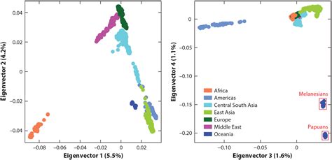 Methods For Assessing Population Relationships And History Using