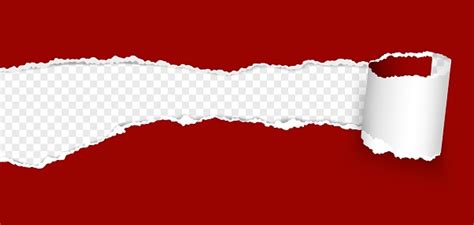 찢어진 종이 구멍 찢어진 종이 시트는 가장자리가 찢어지고 말려 있습니다 롤링 스트립이 있는 찢어진 페이지의 구멍 문서 시트가 파손되었습니다 텍스트를 위한 공간이 있는 벡터