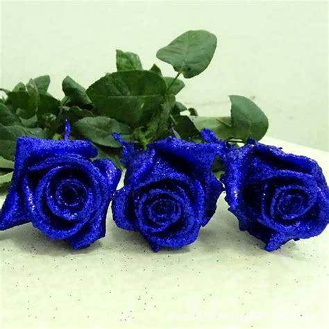 蓝色妖姬 鲜花干花批发 云南鲜花批发 蓝色妖姬批发 一扎20支 阿里巴巴