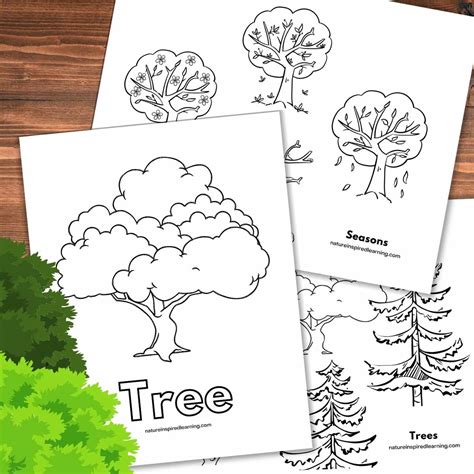 Printable Coloring Pages Of Trees 2025