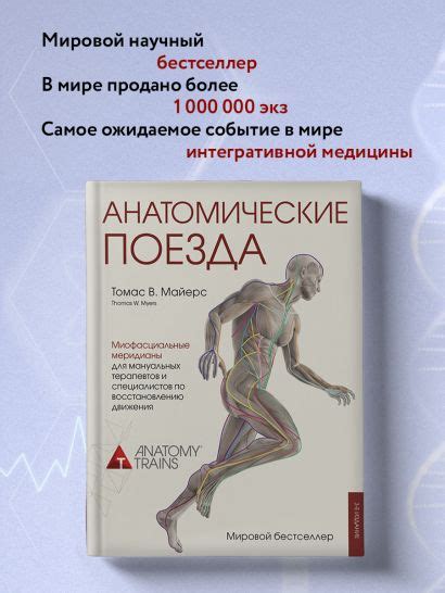 Книга Анатомические поезда. 3-е издание • Томас Майерс – купить книгу ...