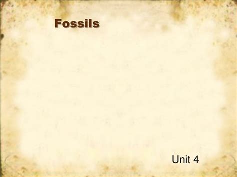 ppt fossils powerpoint presentation free download id 4713684