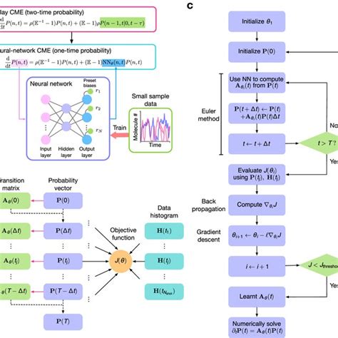 The Ann Aided Stochastic Model Approximation A Illustration Of The Key