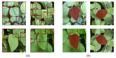 Image Annotation Samples A Detection Samples B Segmentation