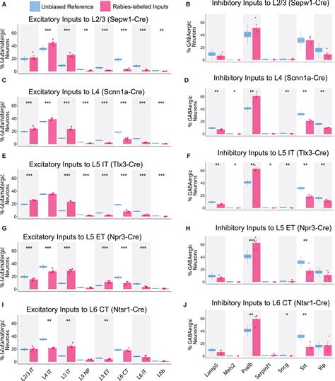Transcriptomic Cell Type Specificity Of Local Cortical Circuits Neuron